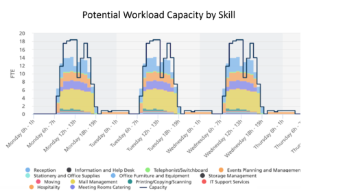 Cataloging Employee Skills and Work Activities for Workforce Optimization